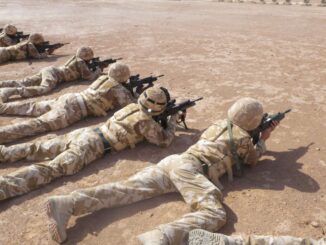 Serval | Véhicule Blindé Multirôle Léger VBMR-L | Armée France